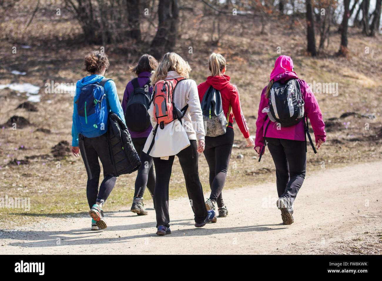 Group young women during hiking in woods Stock Photo - Alamy