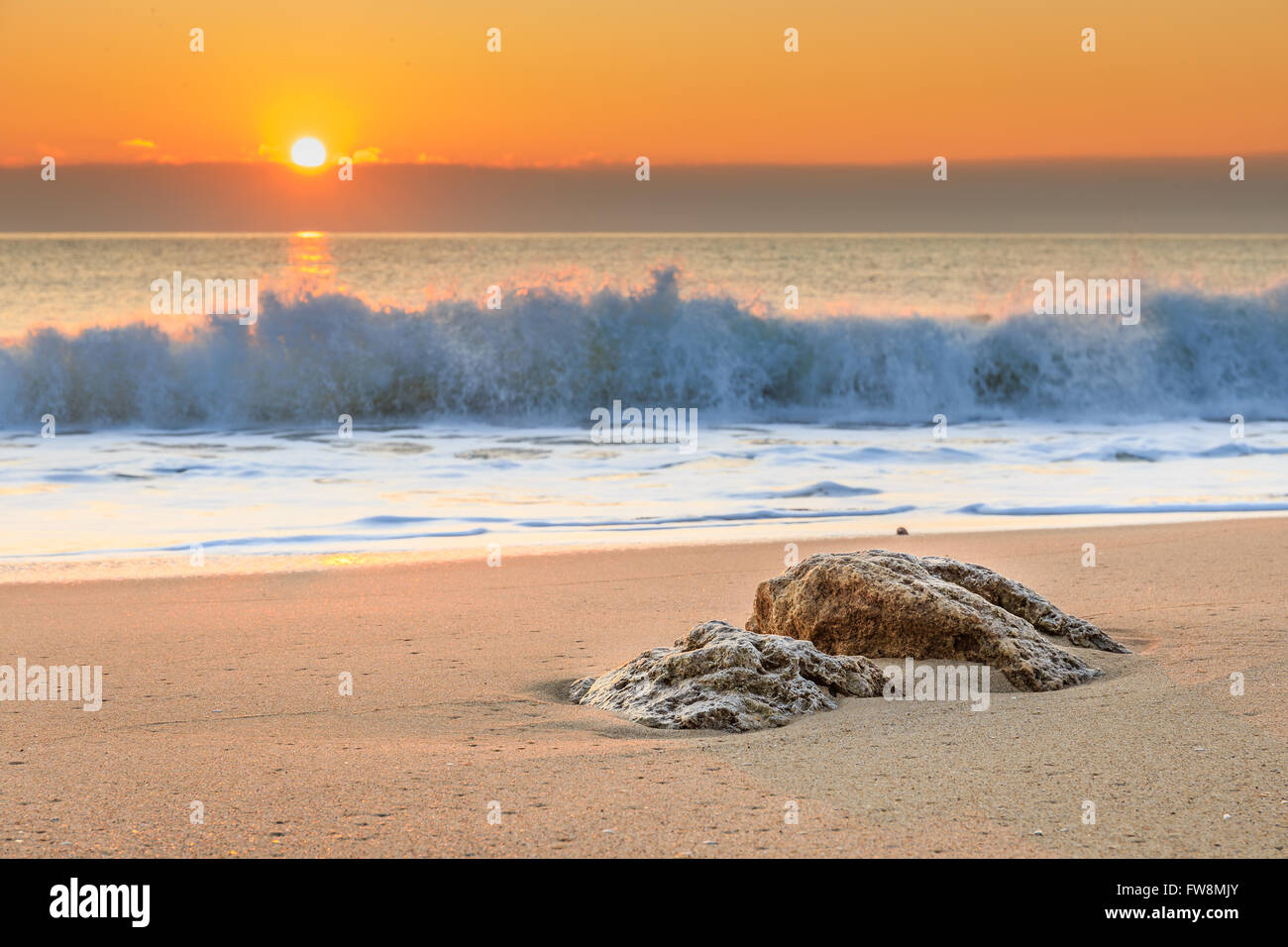 Stone on the beach Stock Photo - Alamy