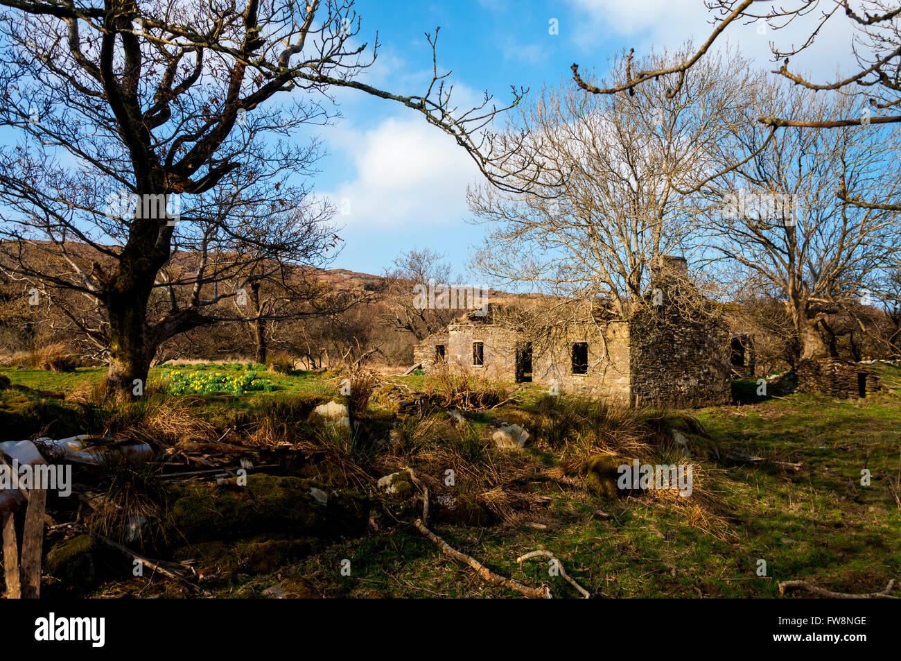 Old farm buildings ireland hi-res stock photography and images - Alamy