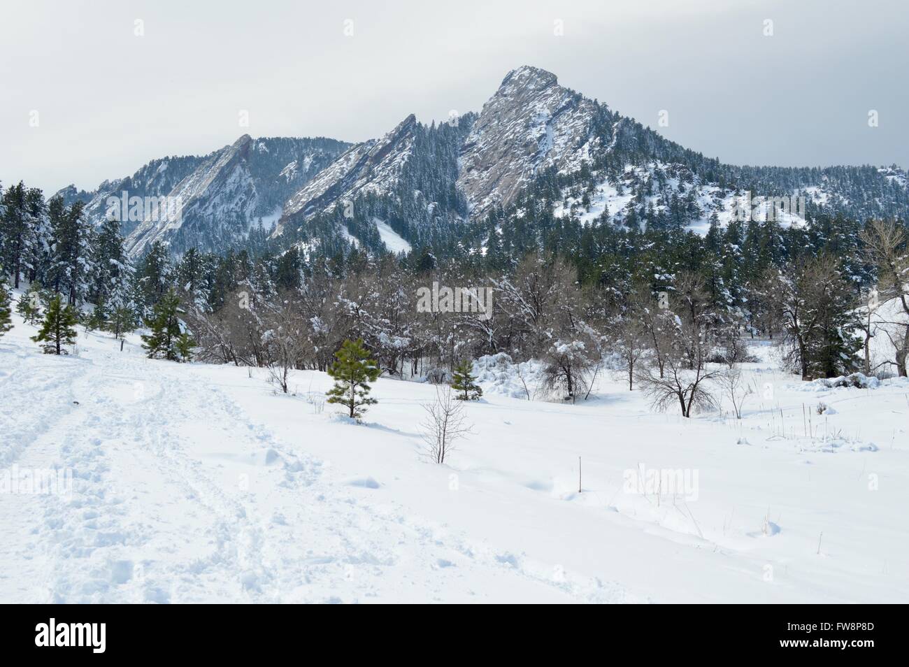 The Boulder Flatirons with snow in early Spring, Chautauqua Park ...