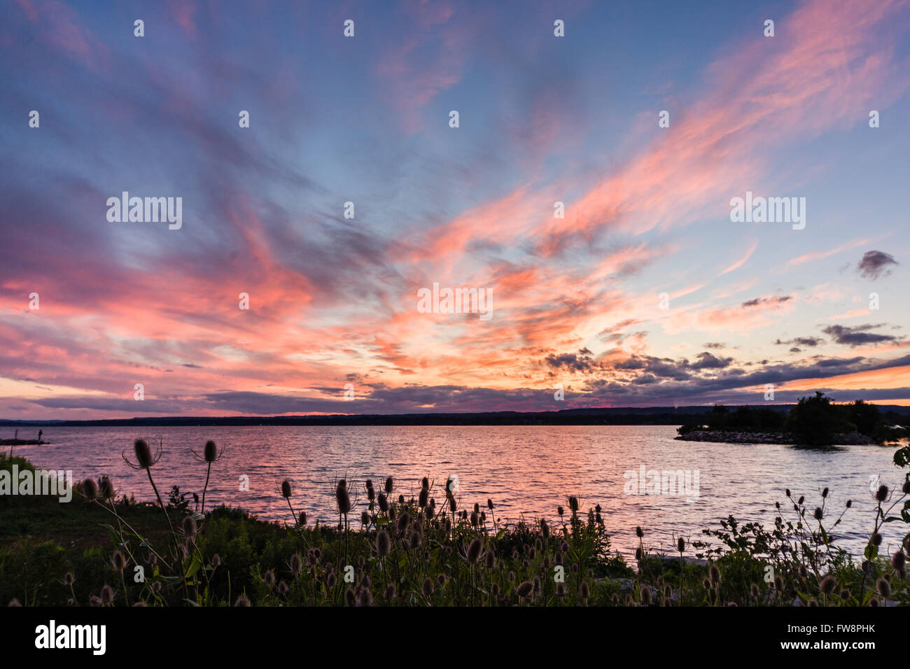 A beautiful sunset on Burlington Bay, with shoreline vegetation in ...