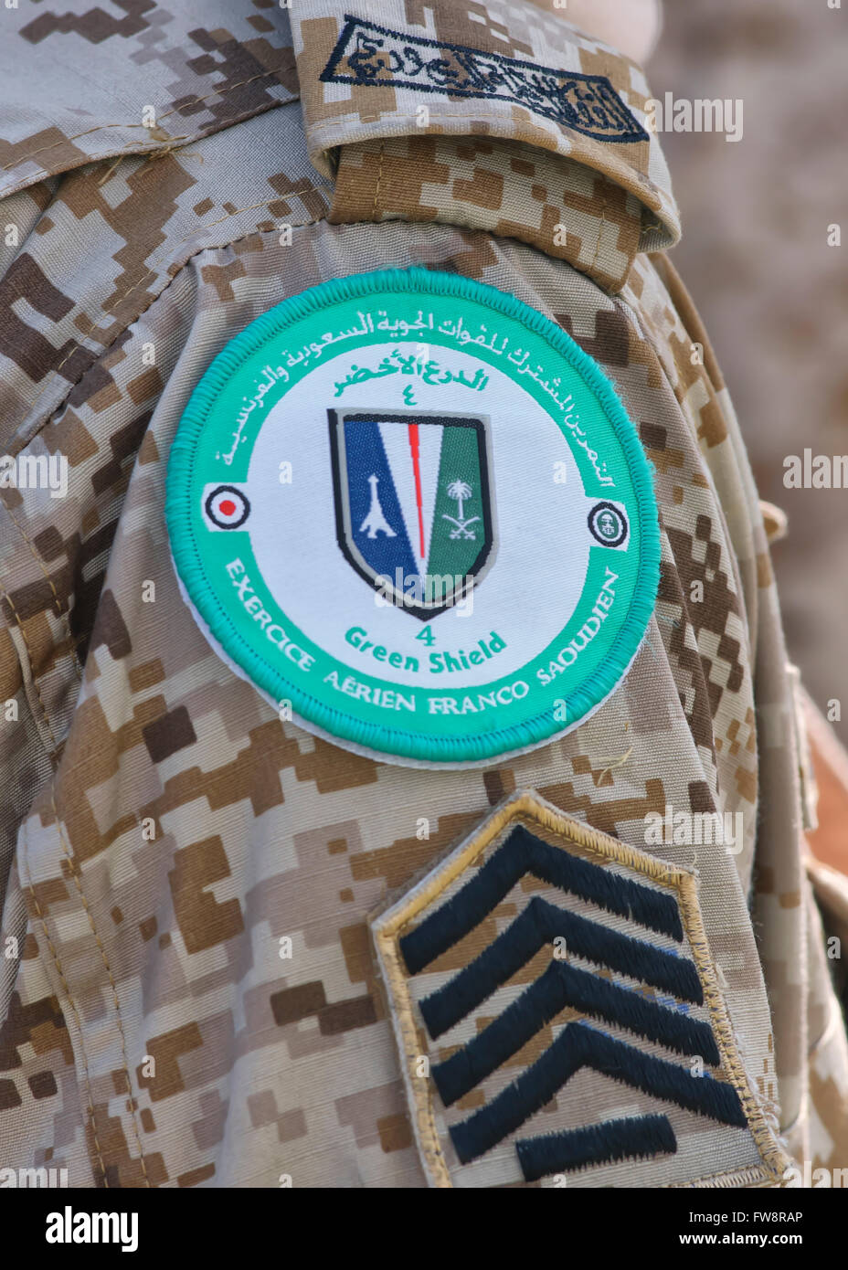 Green shield logo hi-res stock photography and images - Alamy