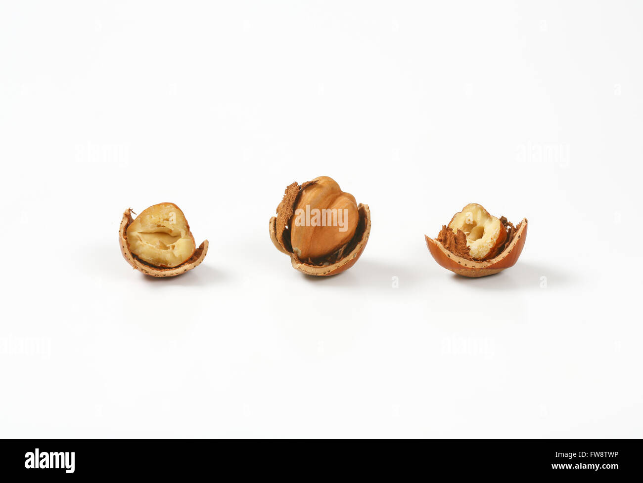 three cracked hazelnuts on white background Stock Photo - Alamy