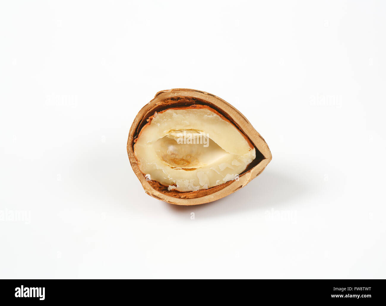 close up of freshly cracked hazelnut on white background Stock Photo ...
