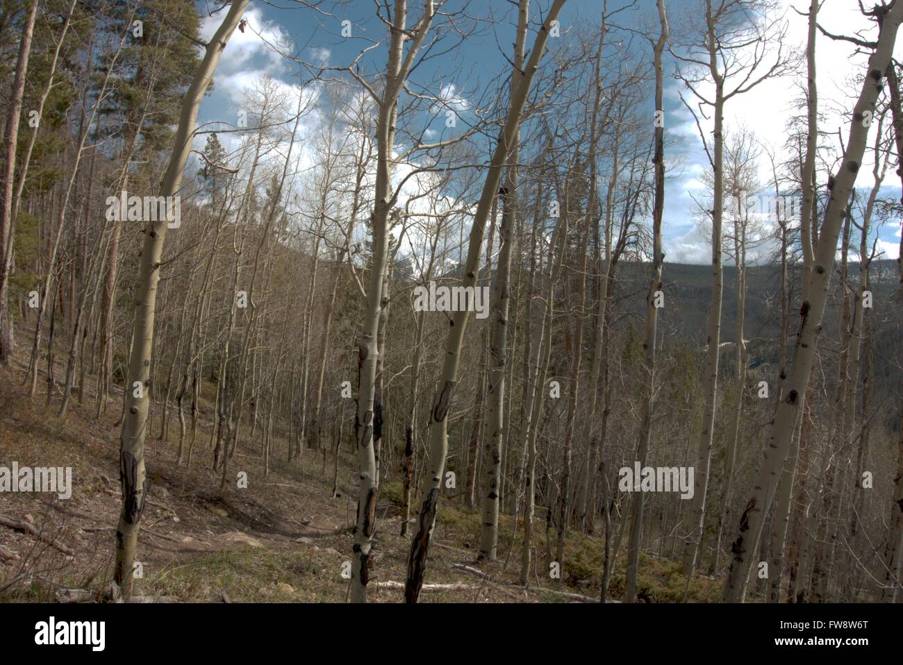 The skies have a way of going from blue to black and back quickly in ...