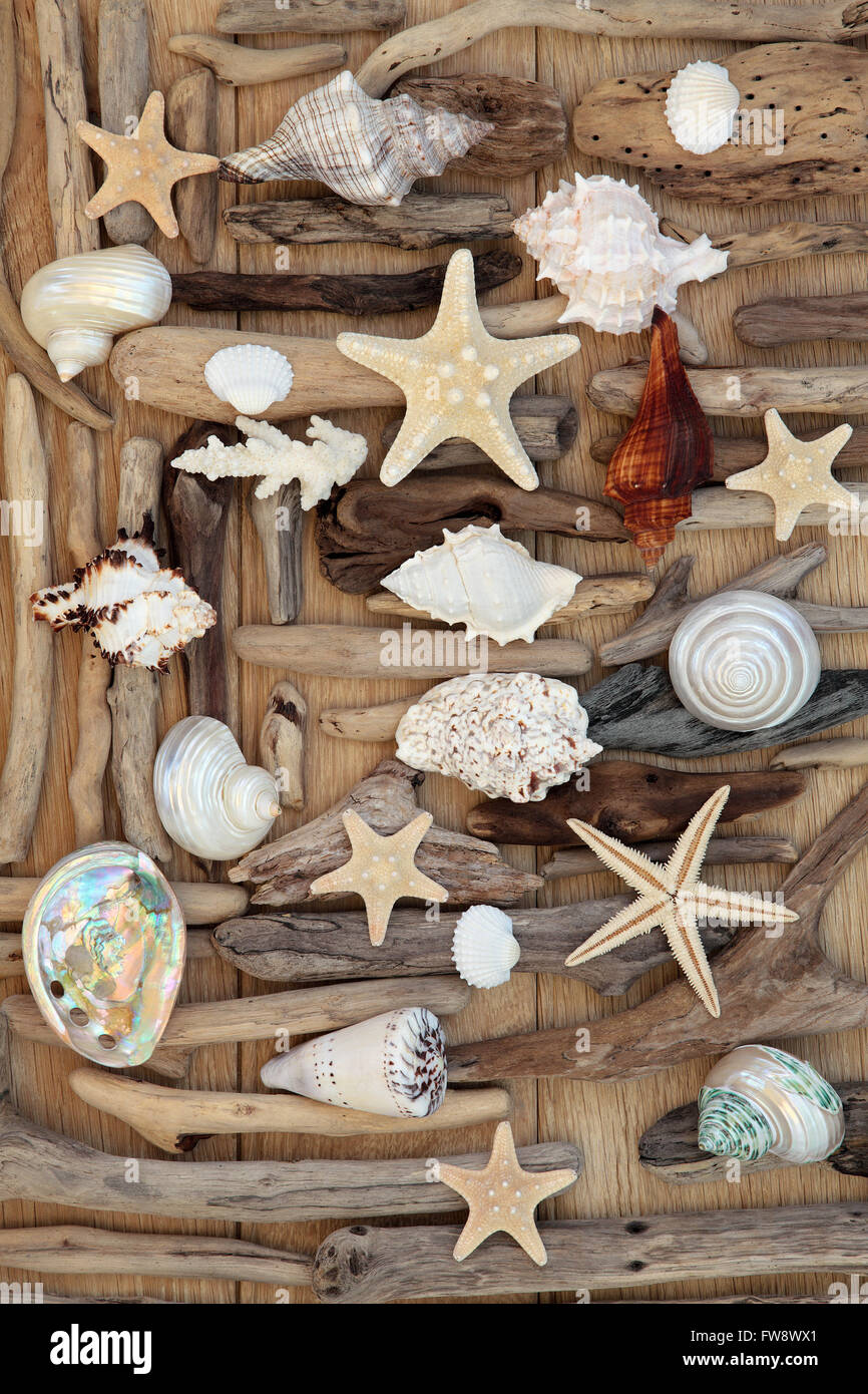 Driftwood and seashell abstract background on oak wood Stock Photo - Alamy