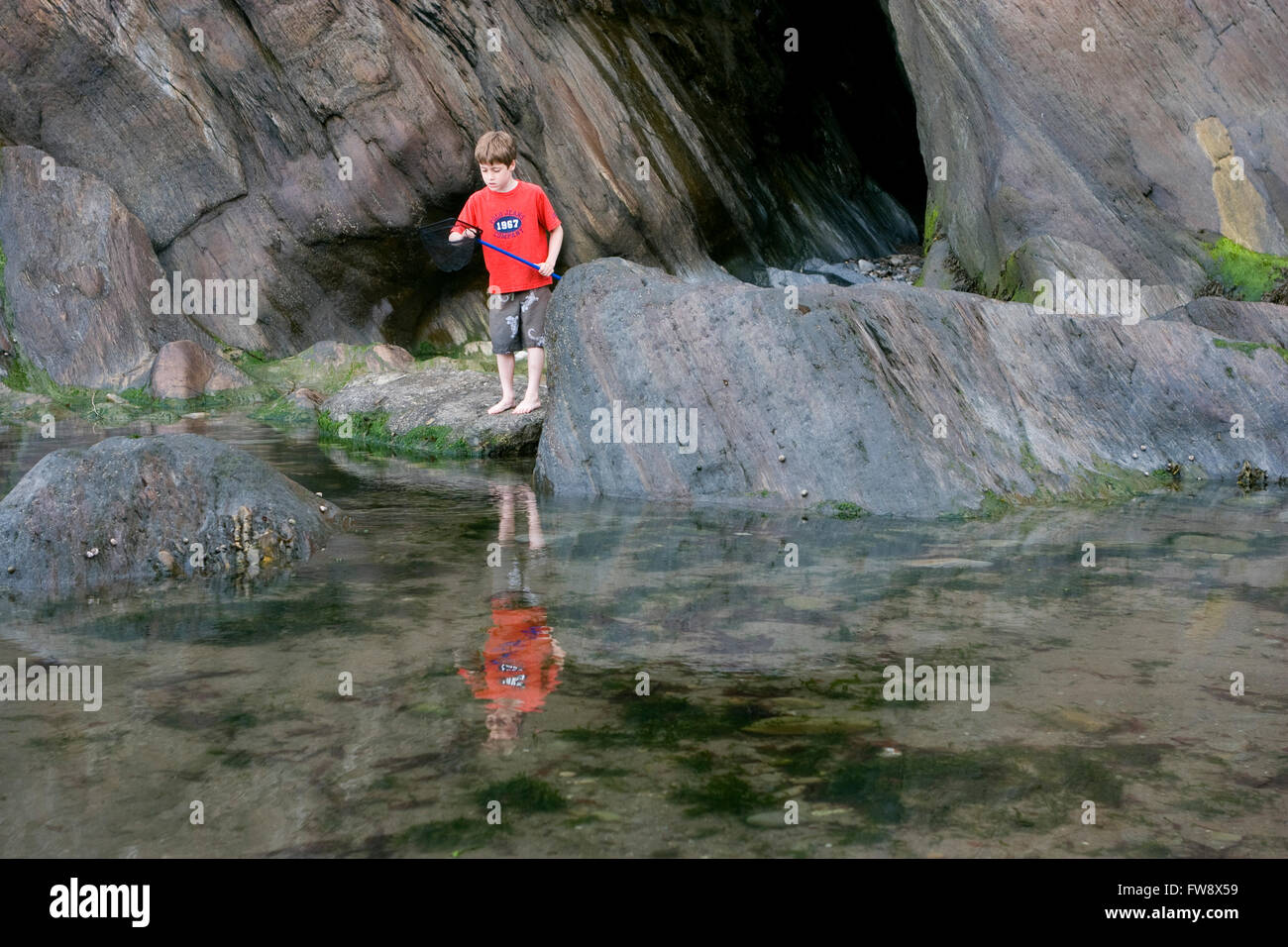 Hunting in rock pools High Resolution Stock Photography and Images - Alamy
