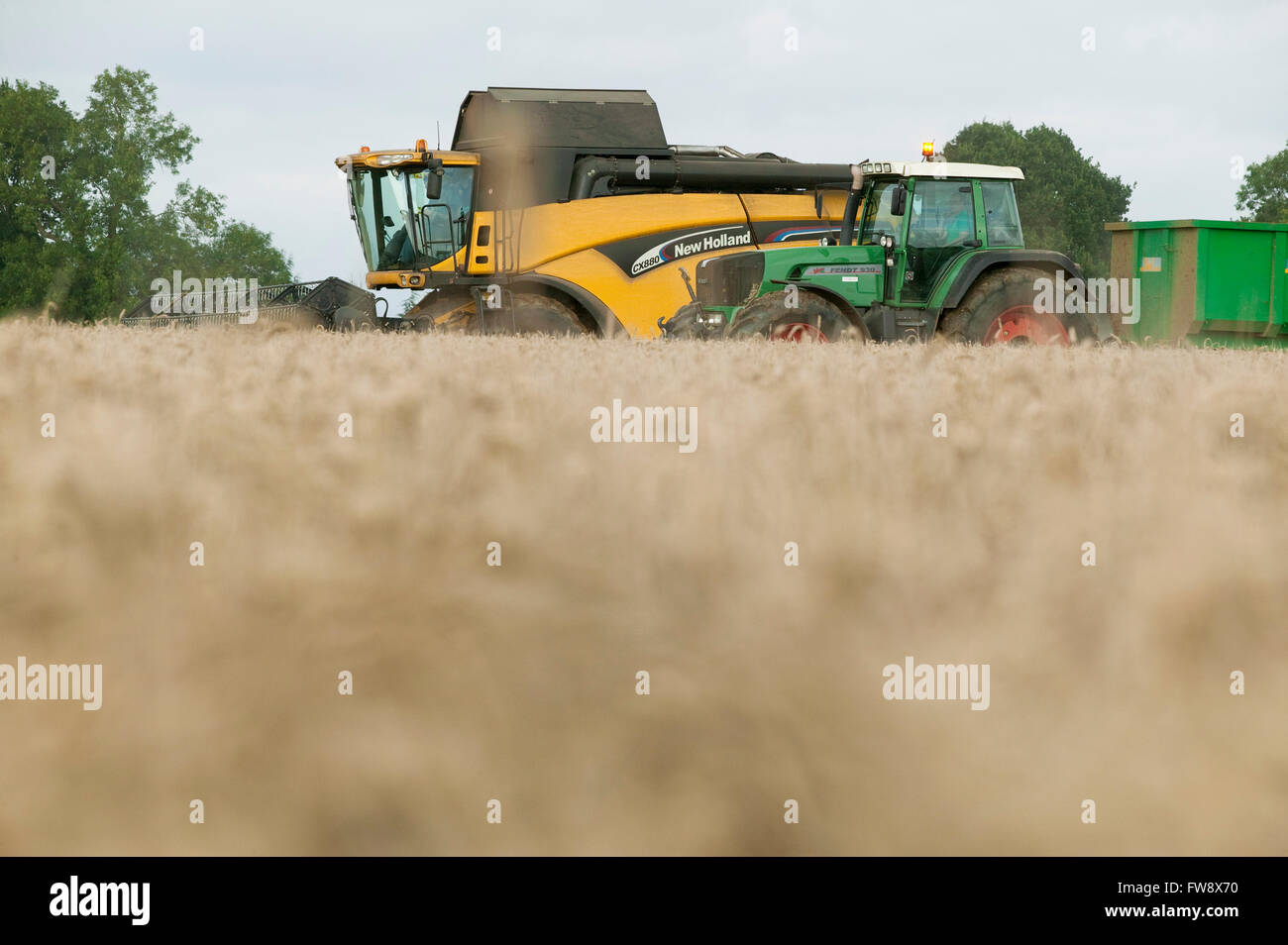 A combine harvester and a tractor working together on a british farm ...