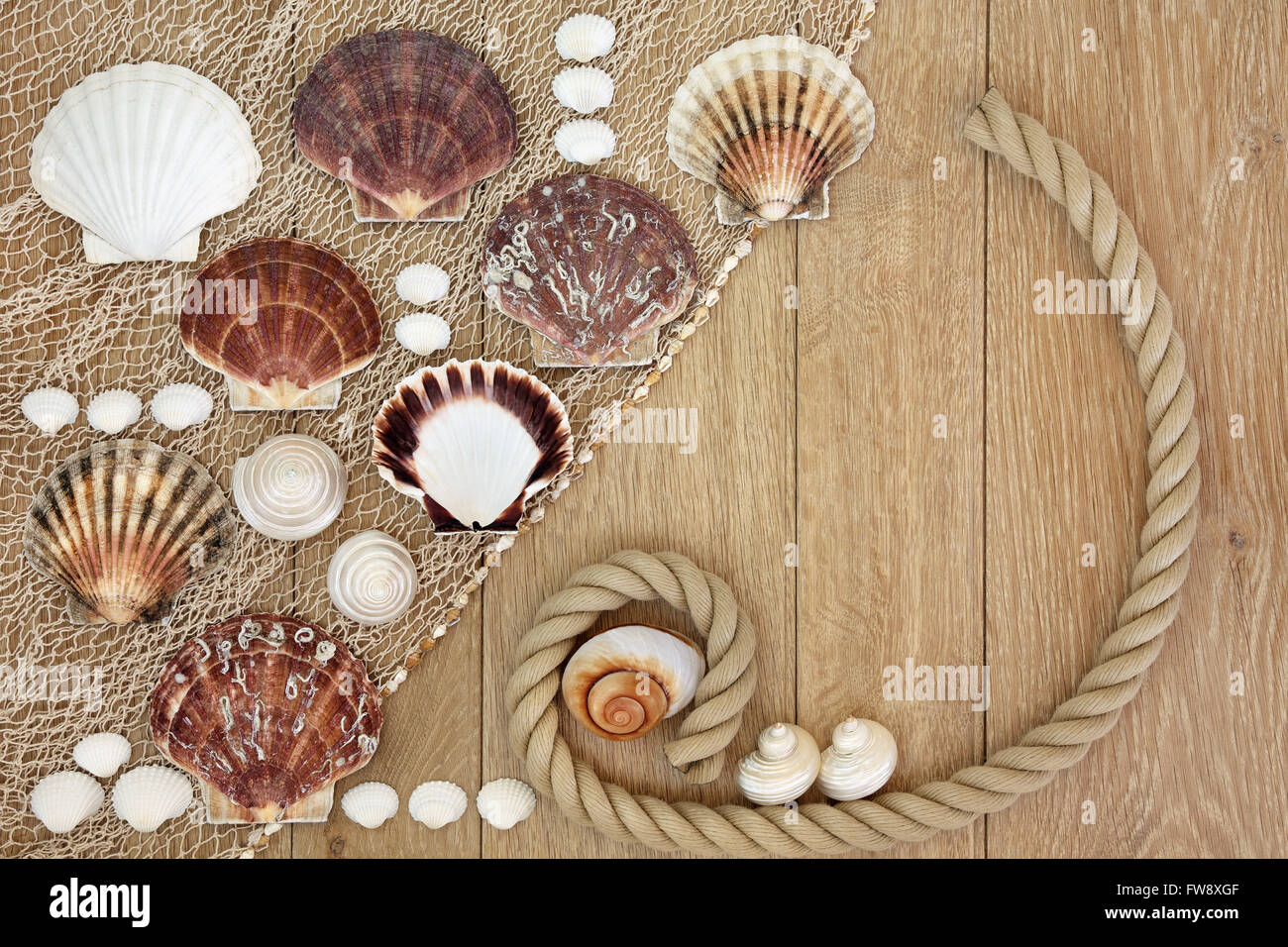 Sea shell abstract background with fishing net and rope over rustic oak ...