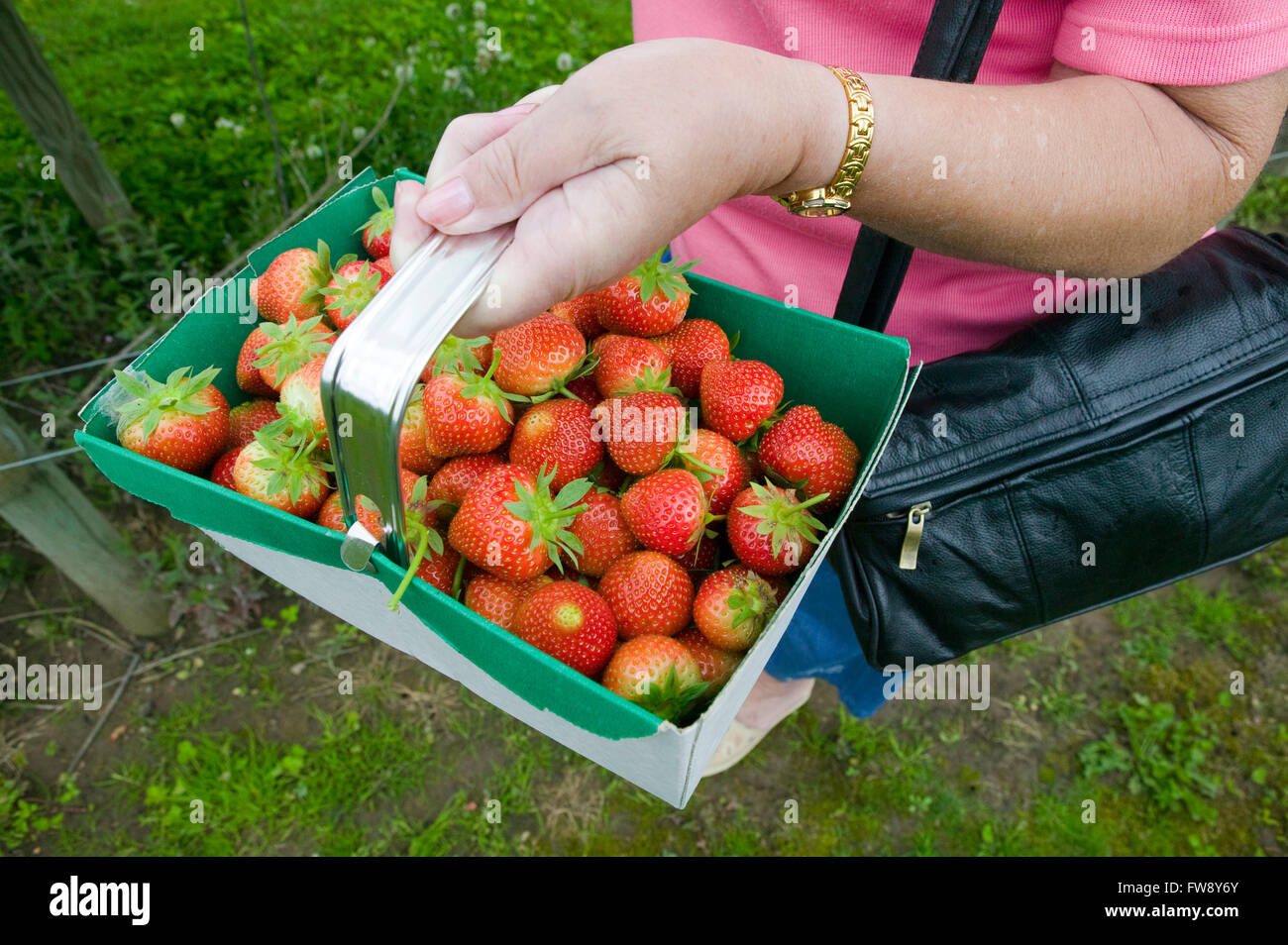 Over farm Market and pick your own centre, Gloucester, UK. Where soft ...