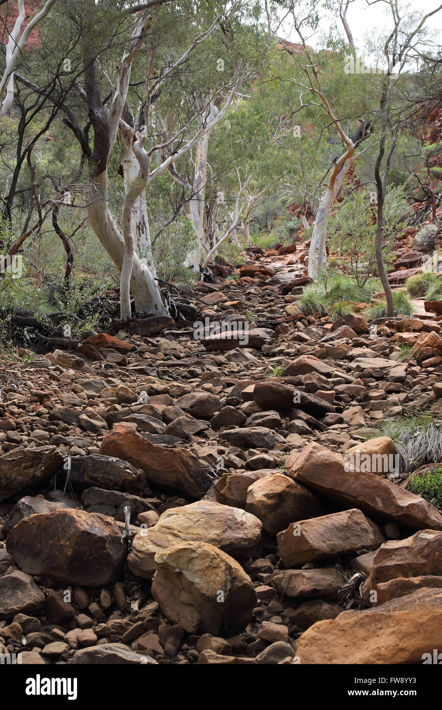 Riverbed australia hi-res stock photography and images - Alamy