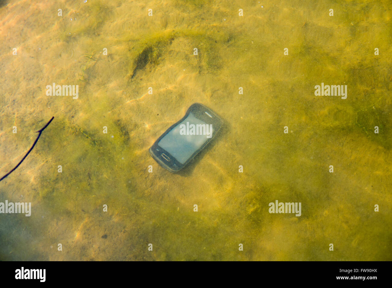 Cell Phone in water Stock Photo - Alamy