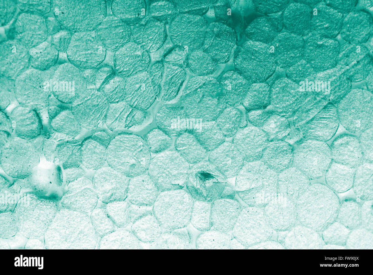 blue dirty polystyrene foam background or texture Stock Photo - Alamy