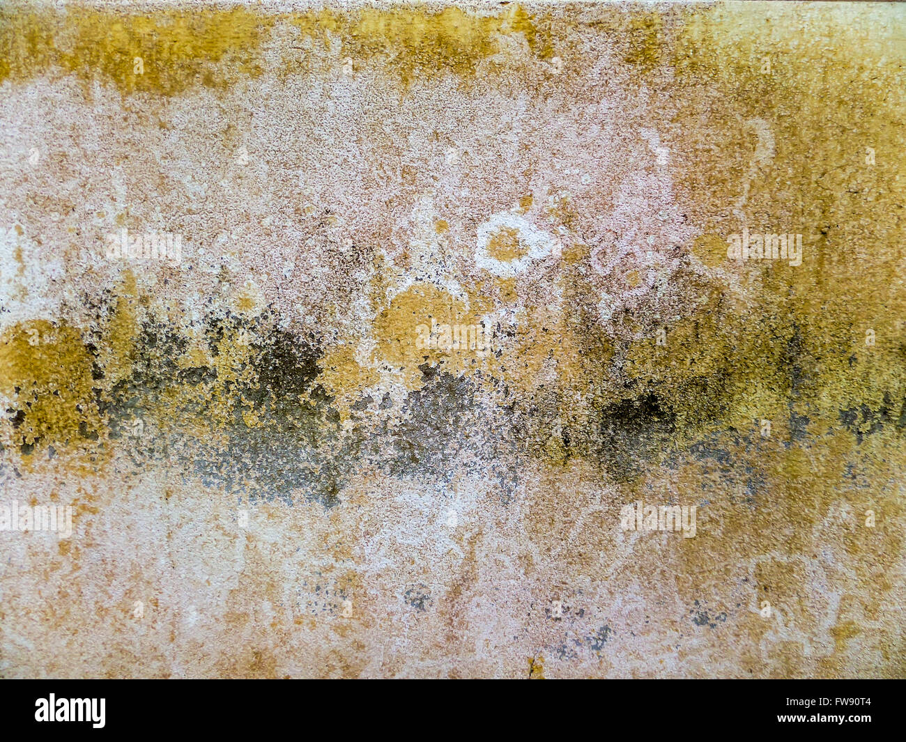 Old wall has rust and erode when recieve water from an artesian well or ...