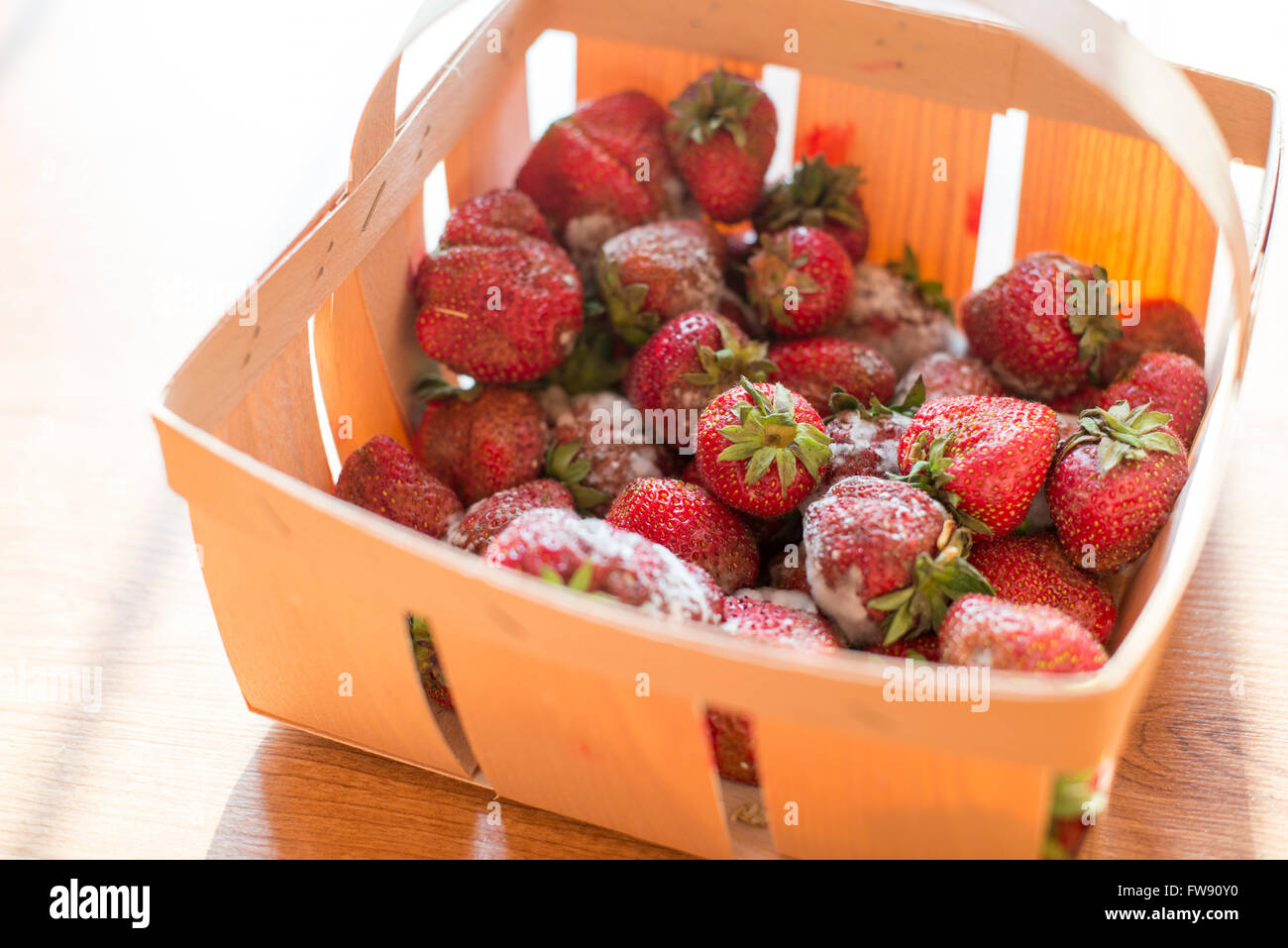 Punnet Of Rotten Strawberries Stock Photo Alamy punnet-of-rotten-strawberries-stock-photo-alamy