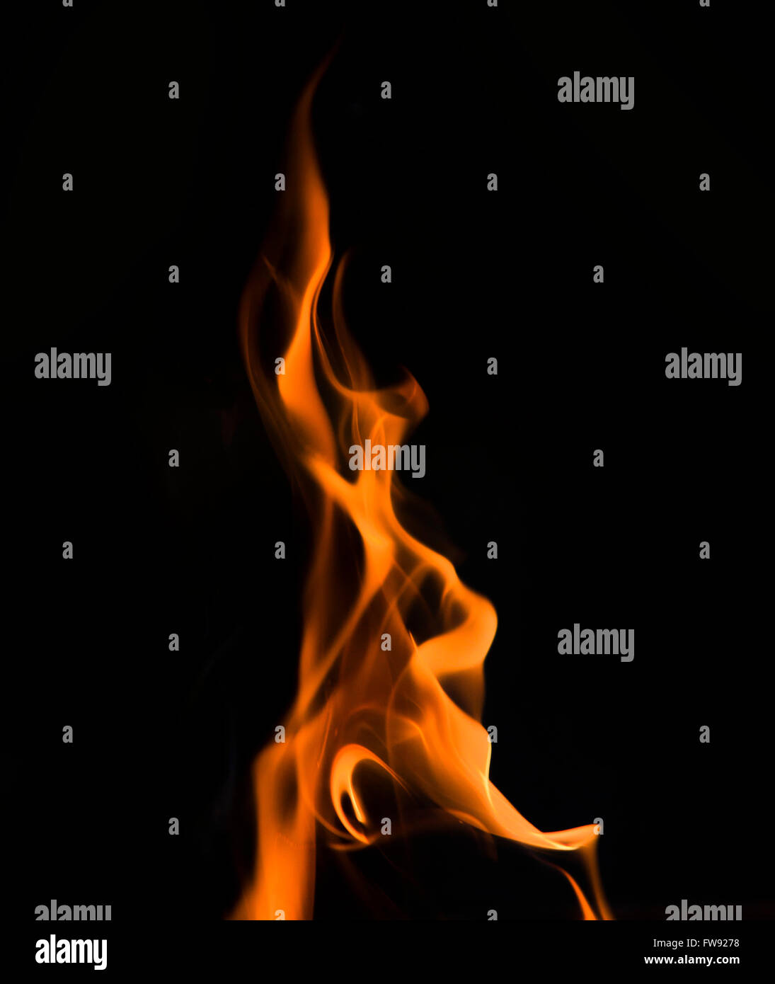 single Fire flame on black background Stock Photo - Alamy