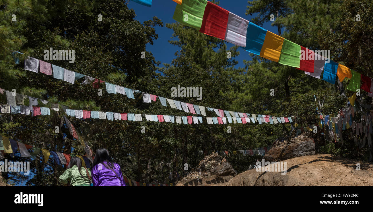 Prayer flags hanging on tree hi-res stock photography and images - Alamy