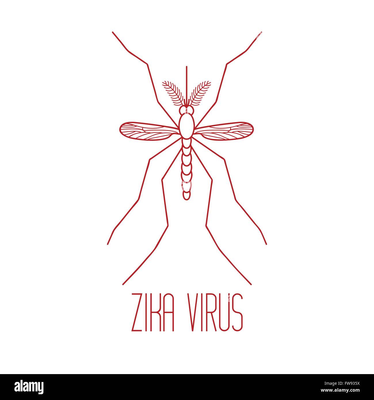 Aedes aegypti threat Stock Vector Images - Alamy