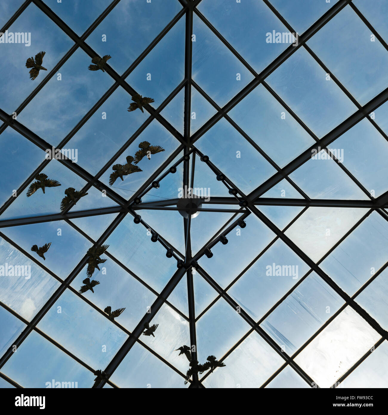 Viewed through glass hi-res stock photography and images - Alamy