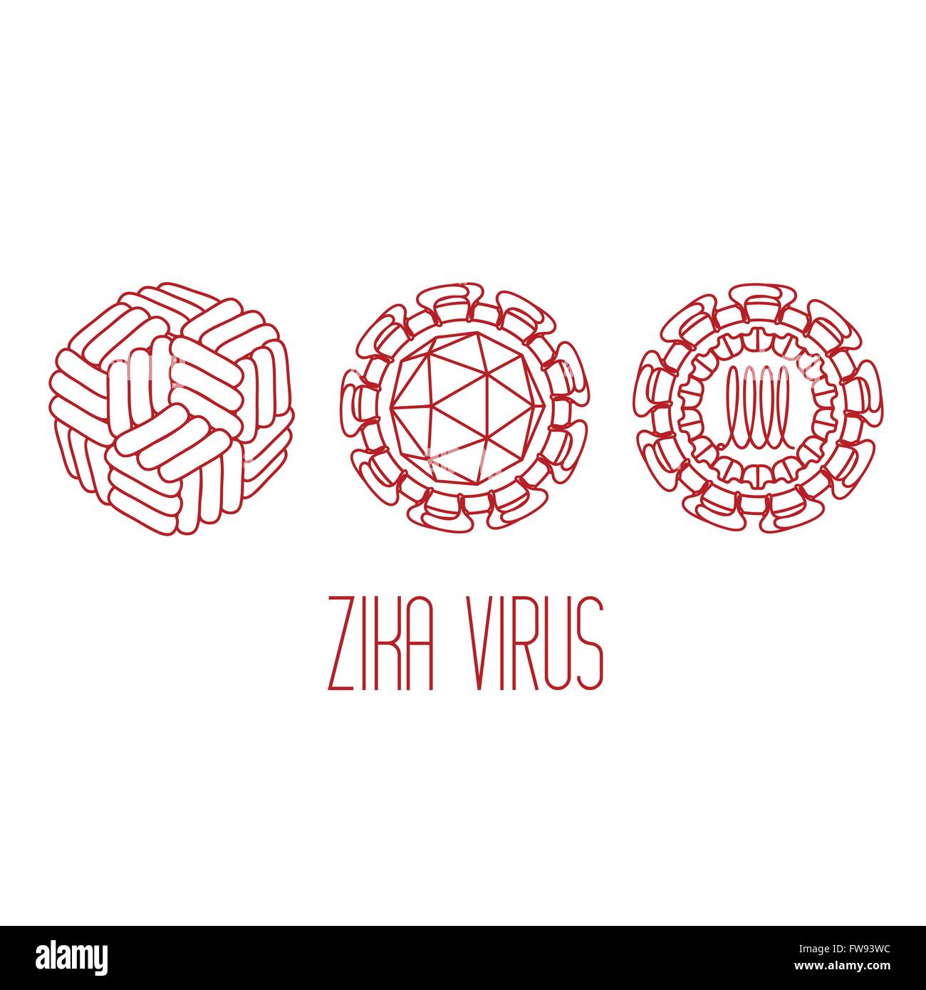 Zika virus structure Stock Vector Image & Art - Alamy