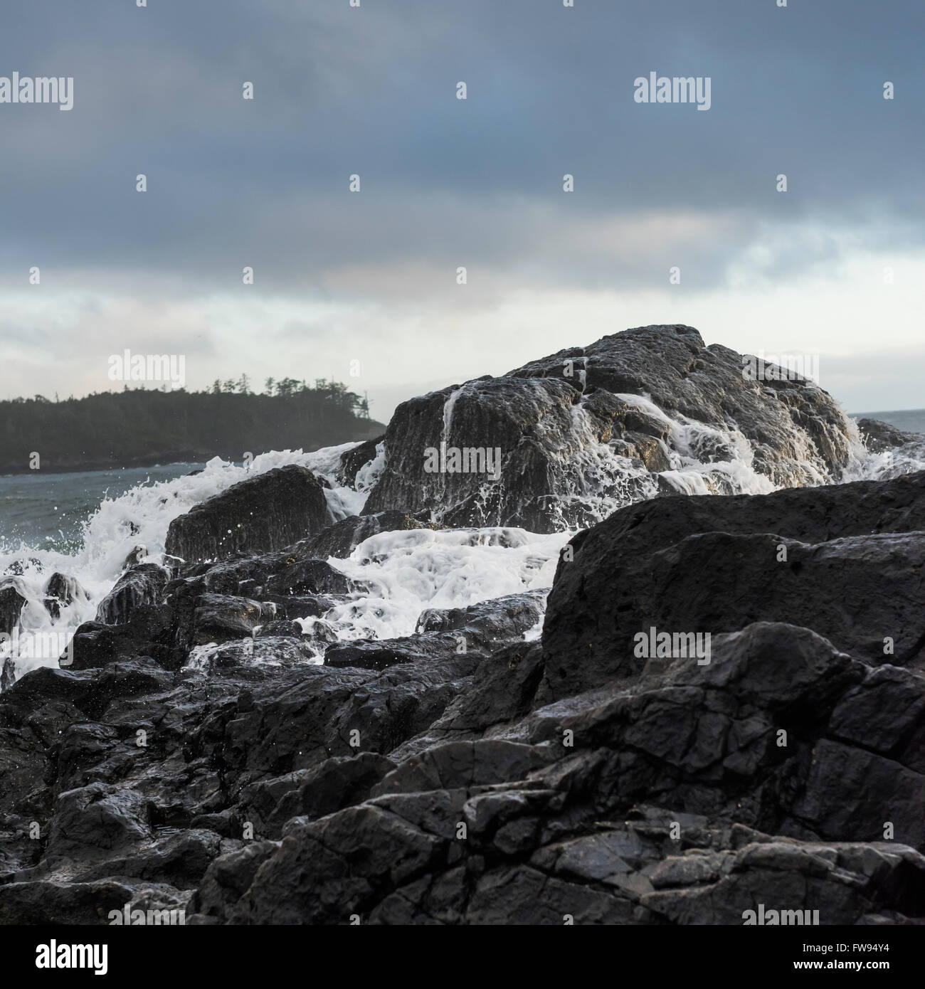 View of rocks at coastline, Pettinger Point, Cox Bay, Pacific Rim ...