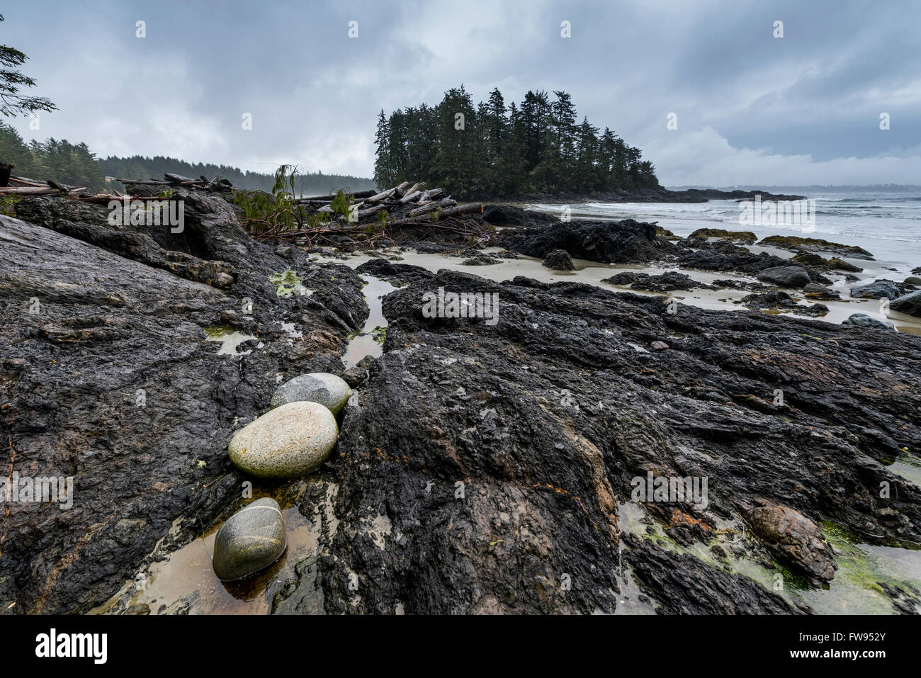 Rock formation at coastline, Pacific Rim National Park Reserve, British ...