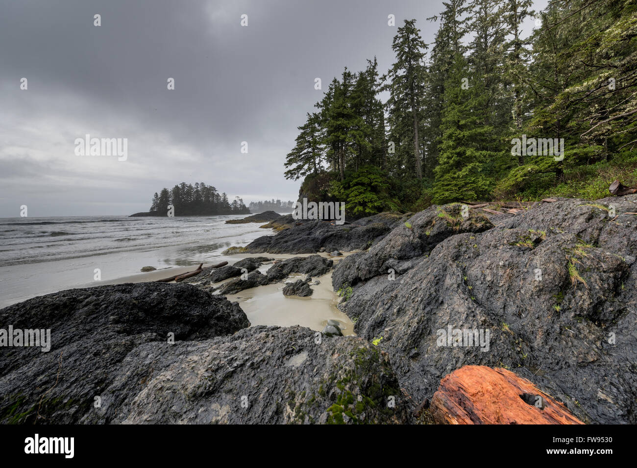 Rock formation at coastline, Pacific Rim National Park Reserve, British ...