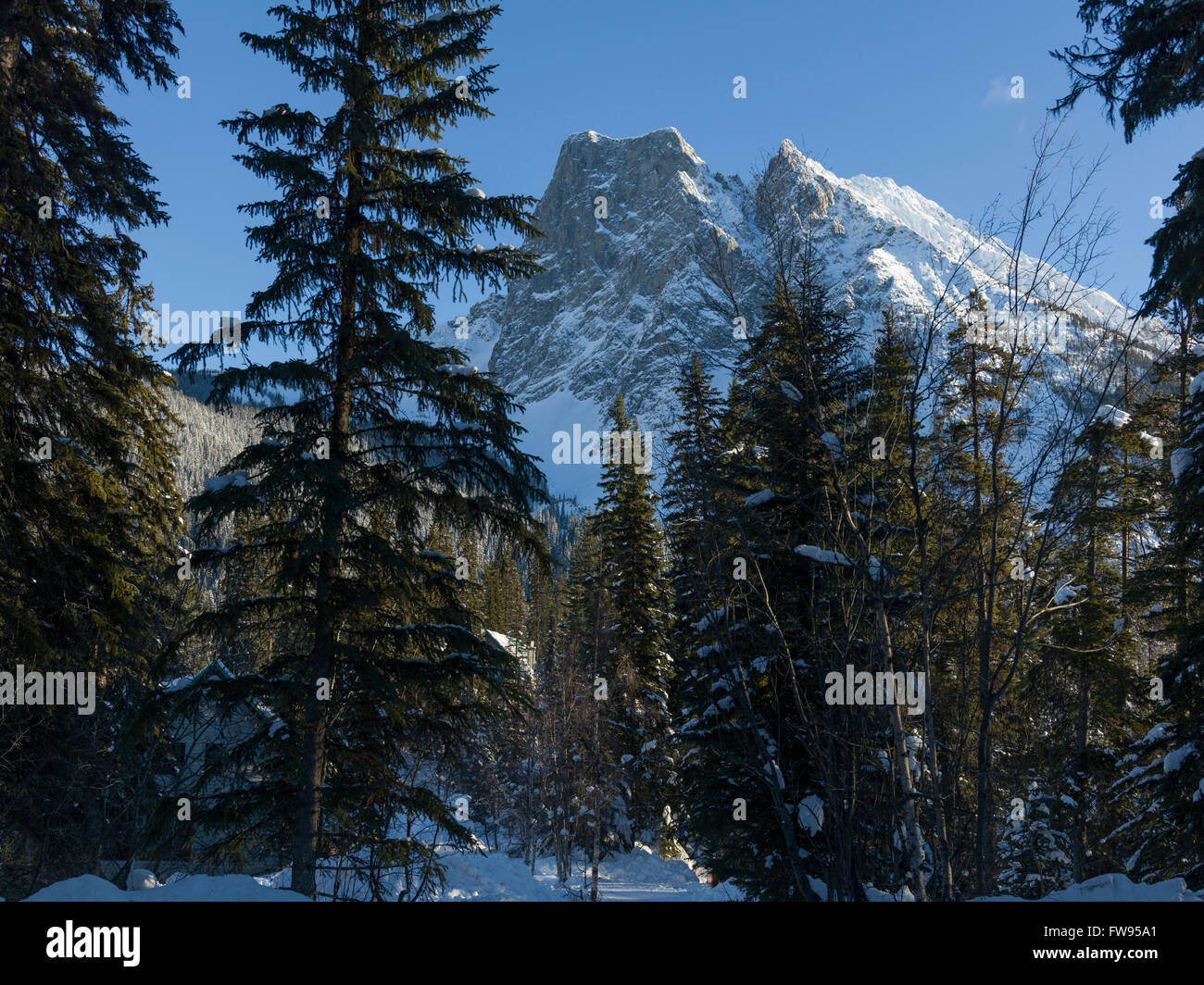 Snow covered mountains with trees in winter, Emerald Lake, Yoho ...