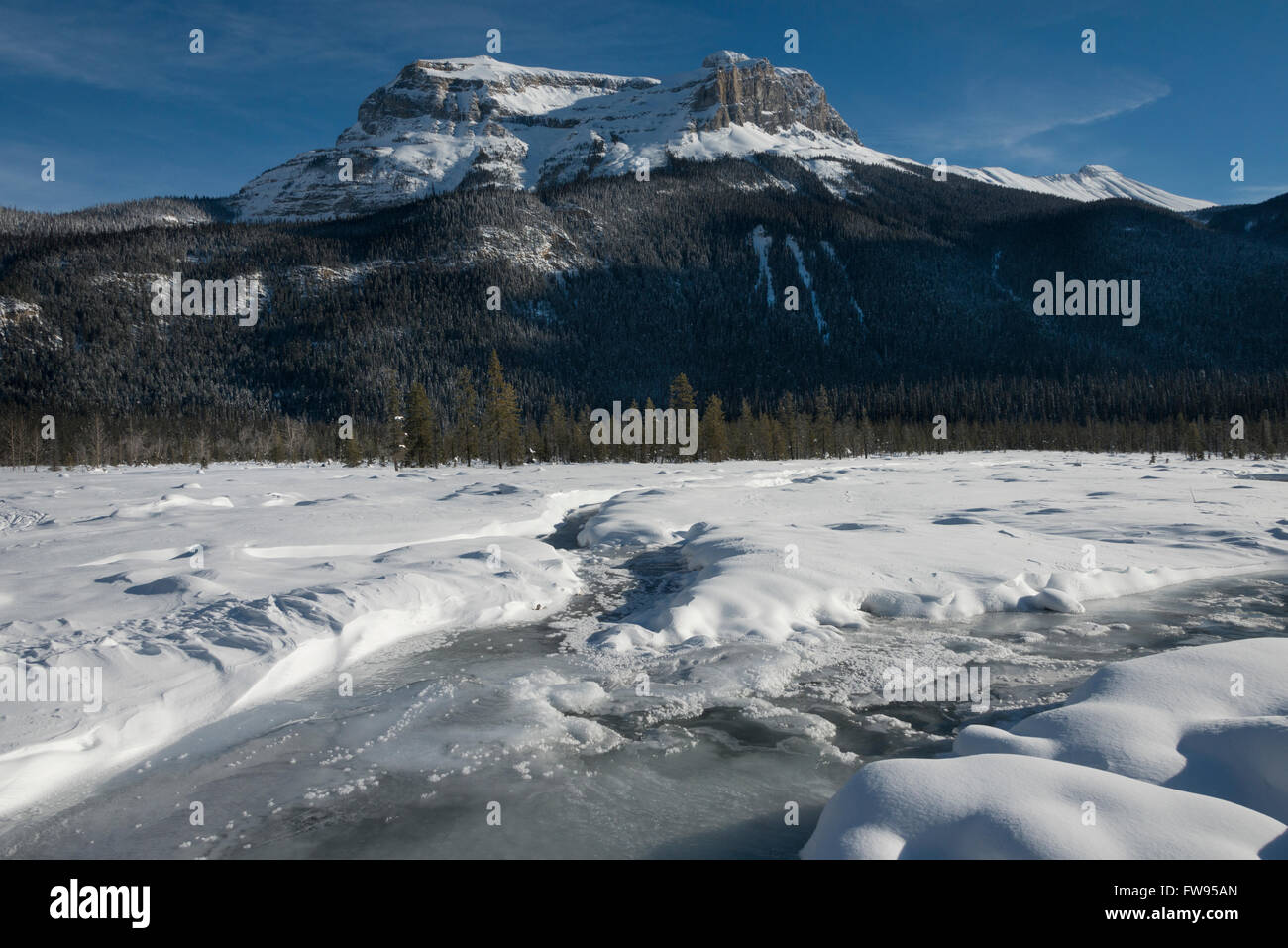 Snow covered landscape with mountains in winter, Emerald Lake, Field ...