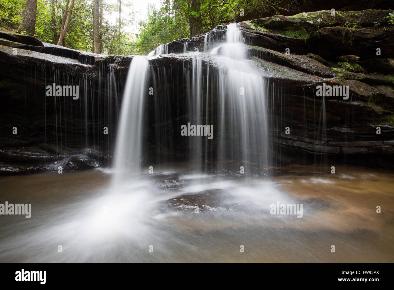 Carrick Creek Waterfall at the beginning of the hike to the top of ...