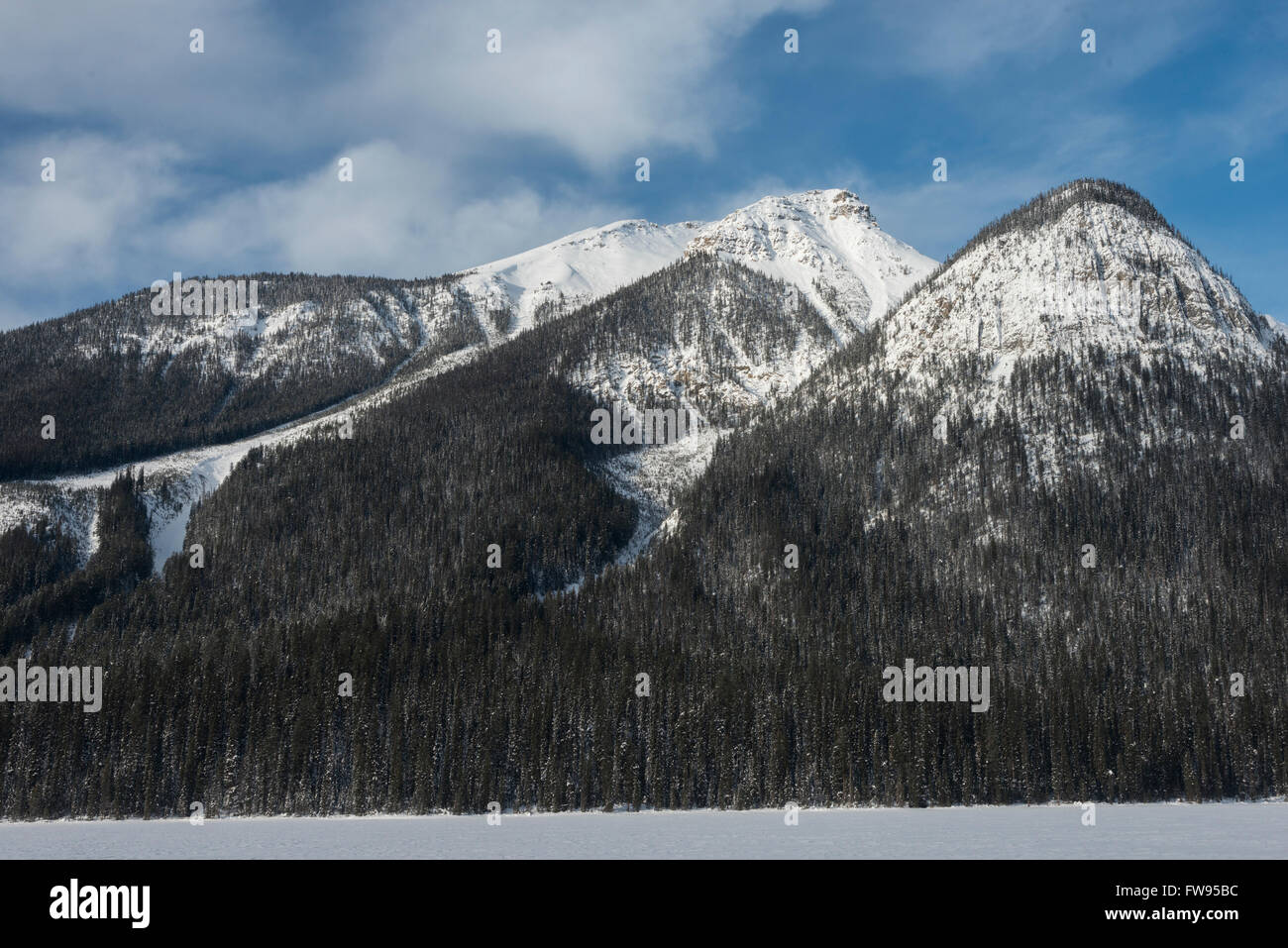Snow covered trees with mountain in winter, Emerald Lake, Field ...