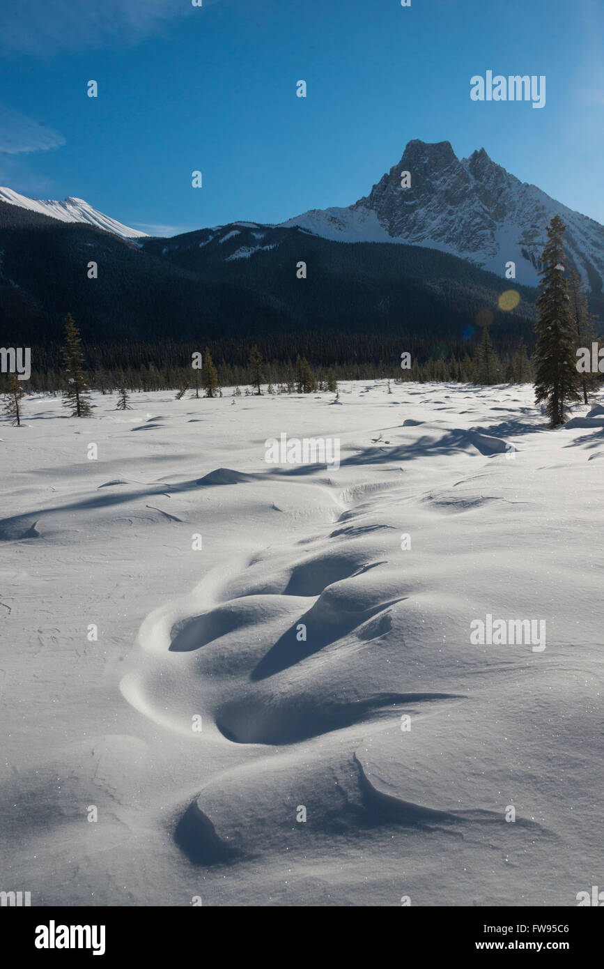 Snow covered landscape with mountain in winter, Emerald Lake, Field ...