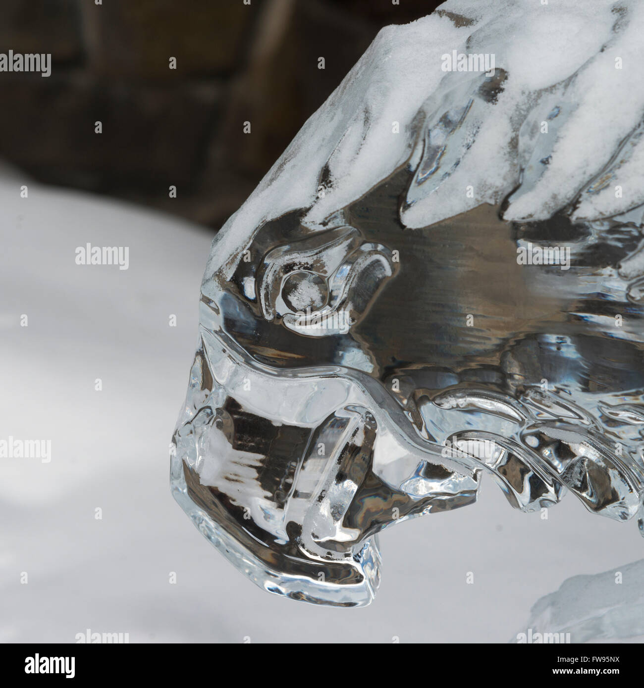 Close-up of hawk ice sculpture, Lake Louise, Alberta, Canada Stock ...