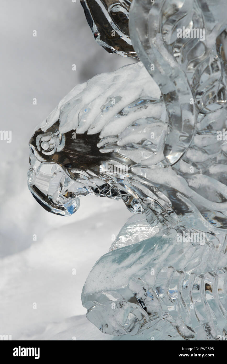 Close-up of a Hawk ice sculpture, Lake Louise, Alberta, Canada Stock ...