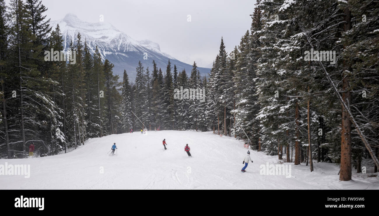 People skiing and snowboarding, Lake Louise, Banff National Park ...