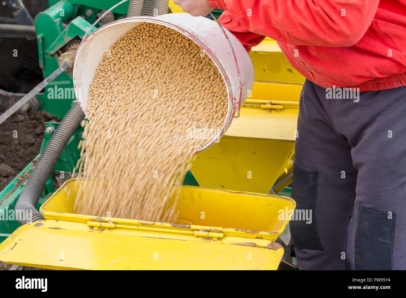 Soybean seeds in buckets befor seeding at field Stock Photo - Alamy