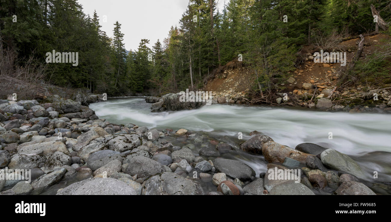 River flowing in a forest, Whistler, British Columbia, Canada Stock ...