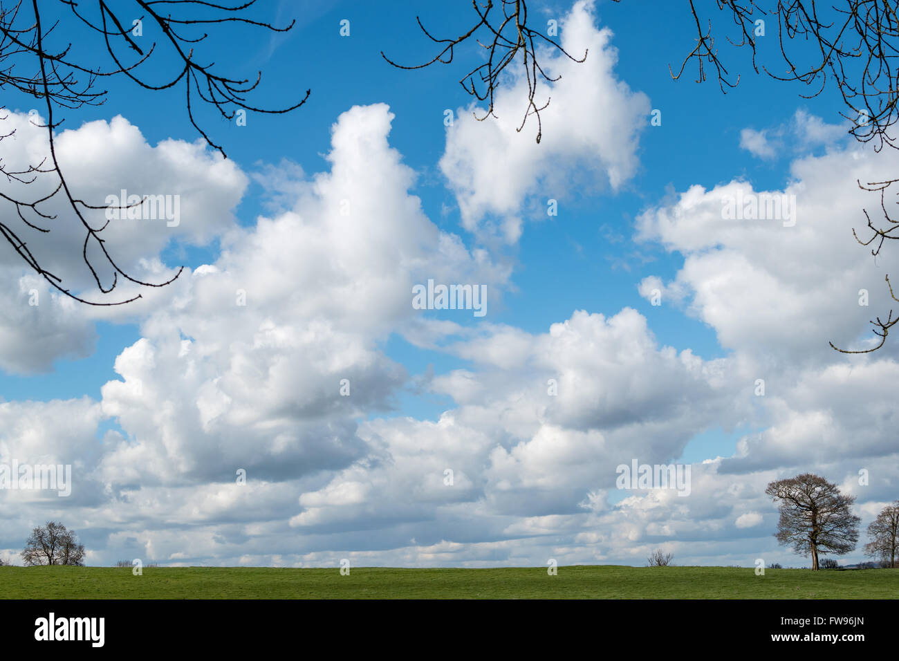 Cloud hedge hi-res stock photography and images - Alamy