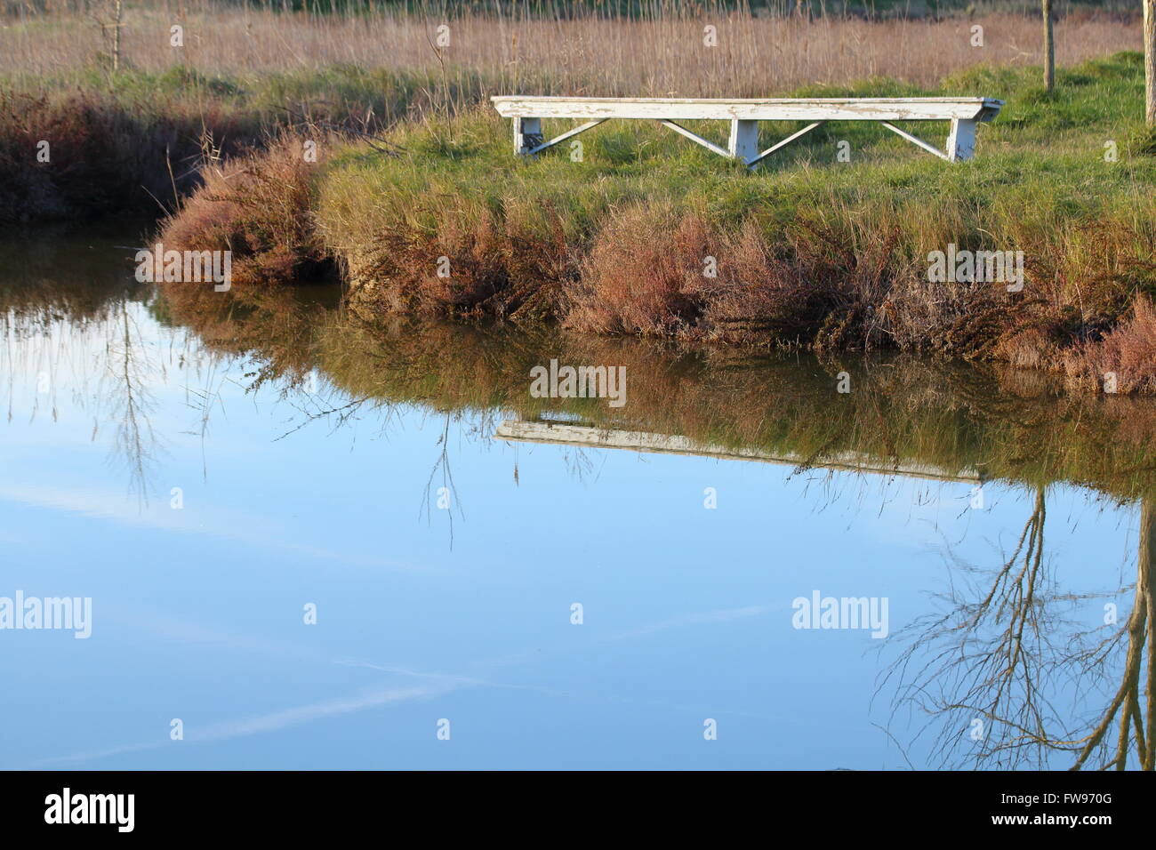 Landscape at sunset of the swamp - the lagoon in the natural reserve ...