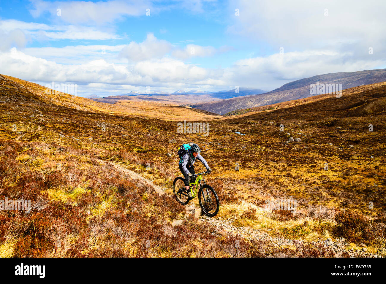 Cycling bicycle trail bike hi-res stock photography and images - Alamy
