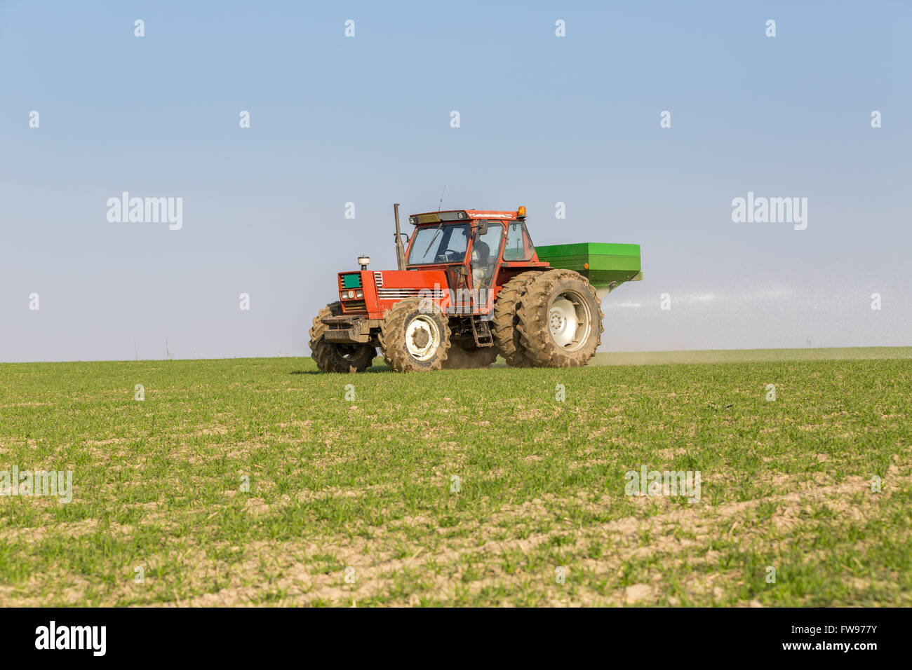 Farmer in tractor fertilizing wheat field at spring with npk Stock ...