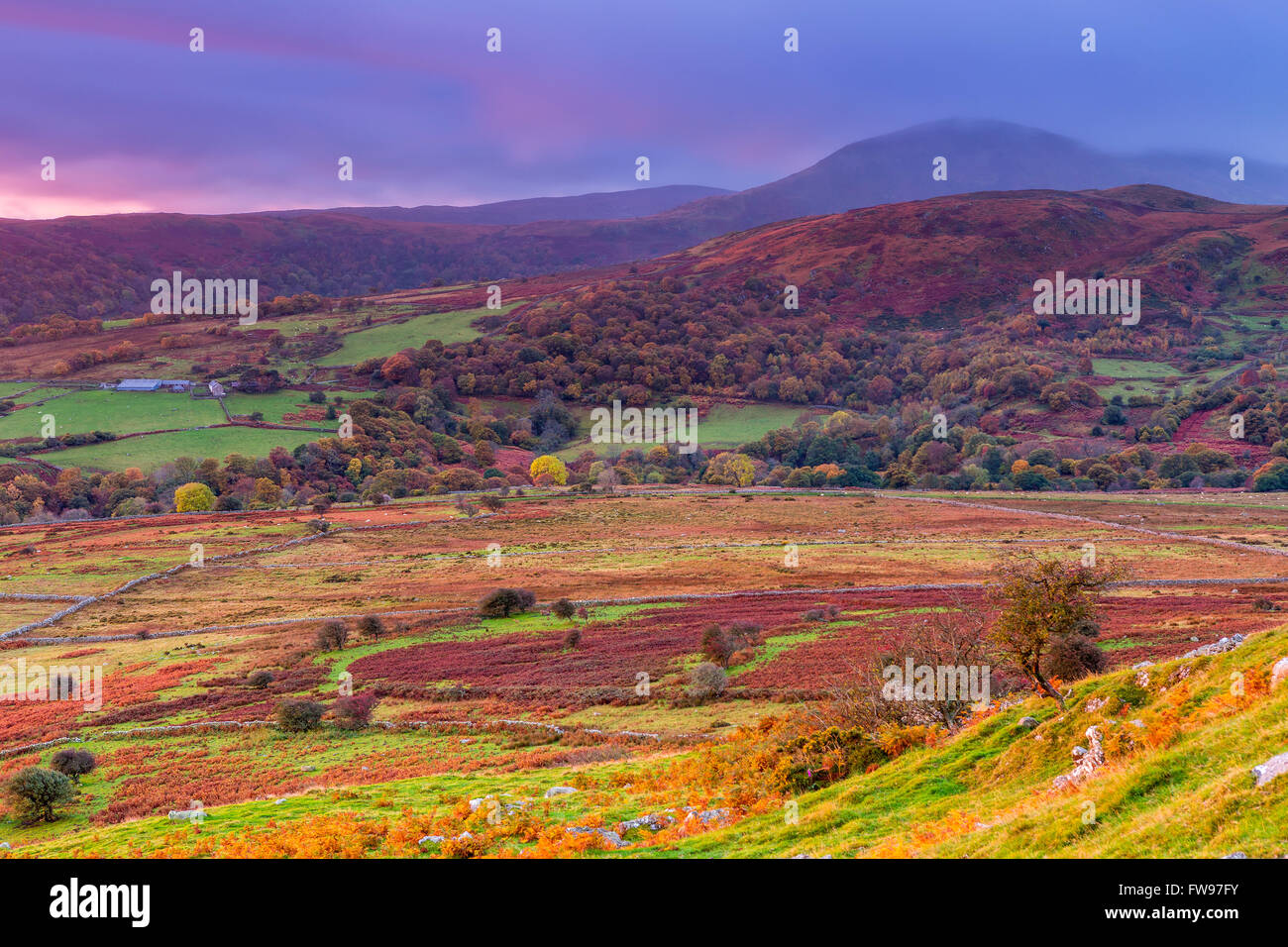 Dulyn valley seen from Pen-y-Gaer a Bronze Age hill fort near the ...