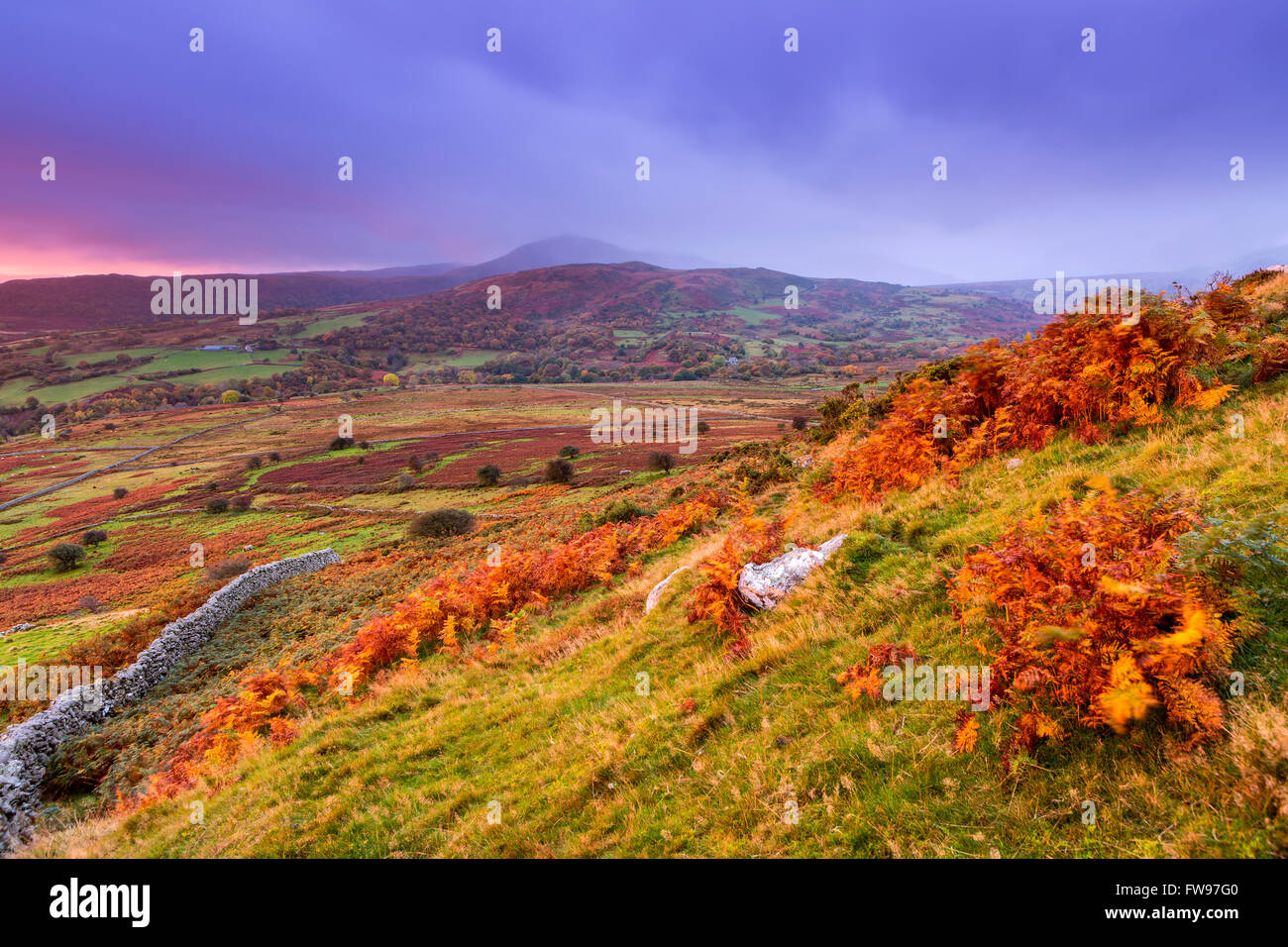Dulyn valley seen from Pen-y-Gaer a Bronze Age hill fort near the ...