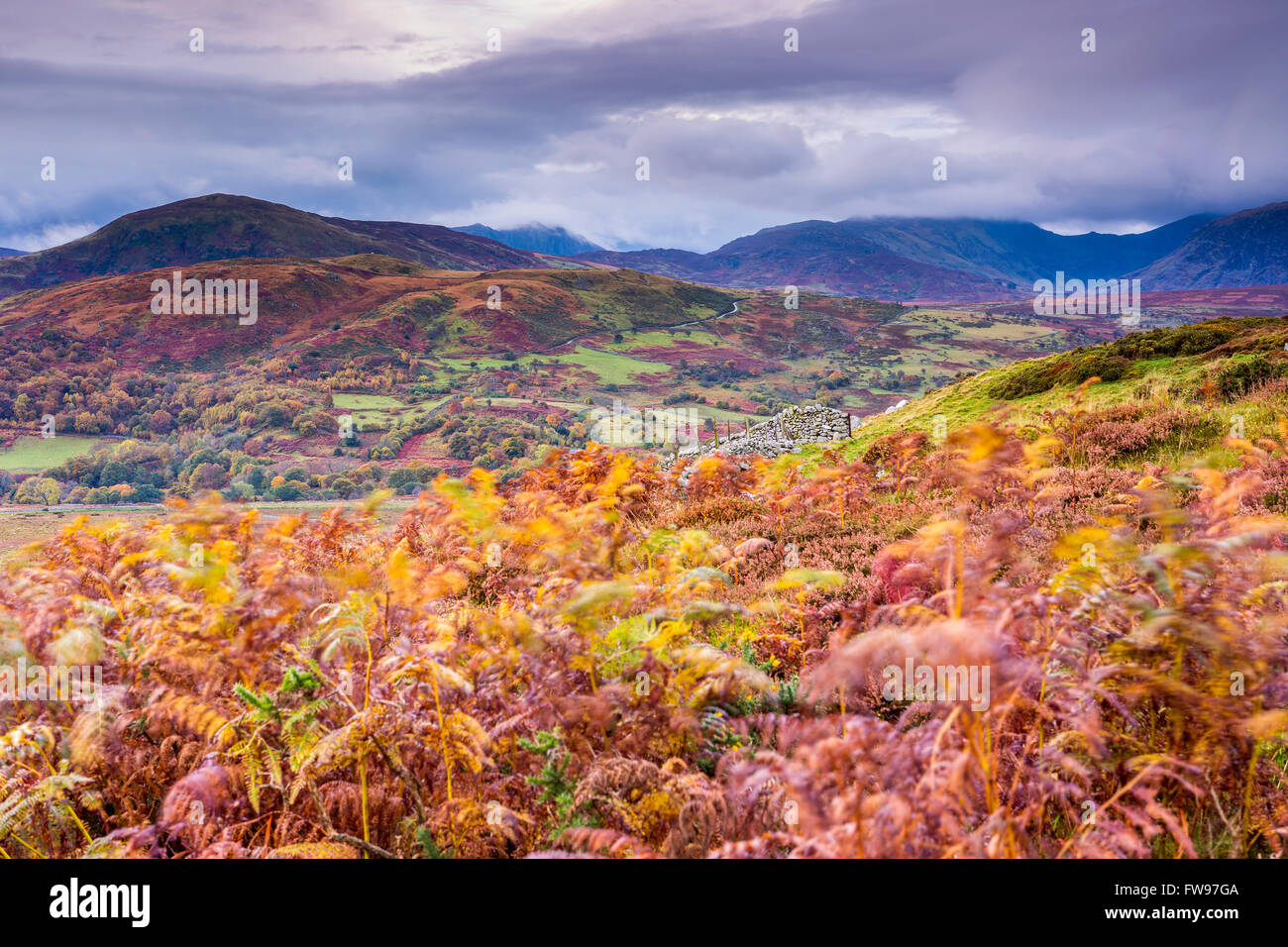 Dulyn valley seen from Pen-y-Gaer a Bronze Age hill fort near the ...
