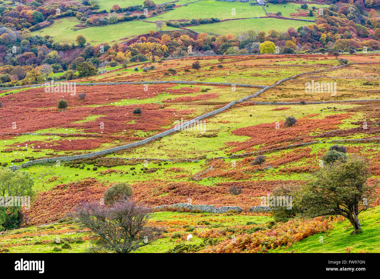 Dulyn valley seen from Pen-y-Gaer a Bronze Age hill fort near the ...