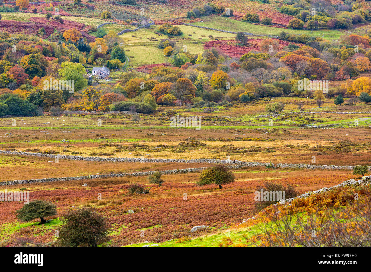Dulyn valley seen from Pen-y-Gaer a Bronze Age hill fort near the ...