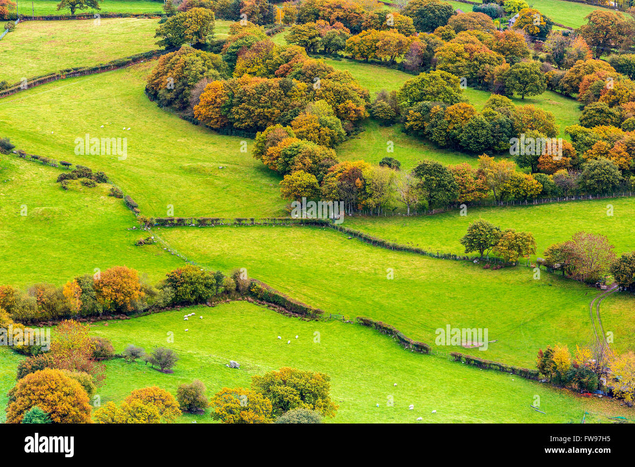 Conwy Valley Wales High Resolution Stock Photography and Images - Alamy