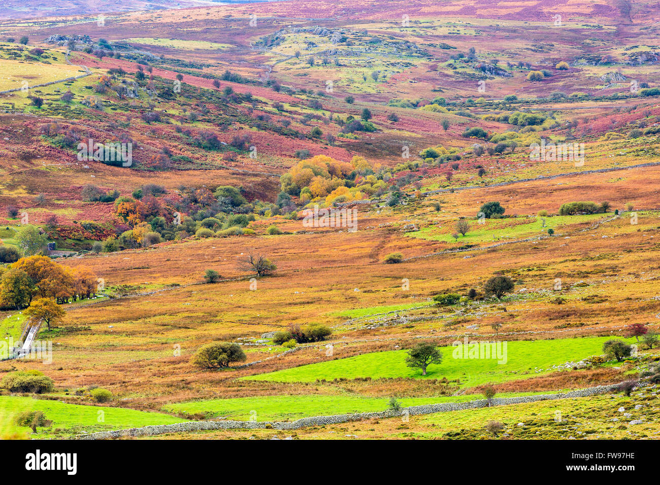 Y gaer fawr hi-res stock photography and images - Alamy