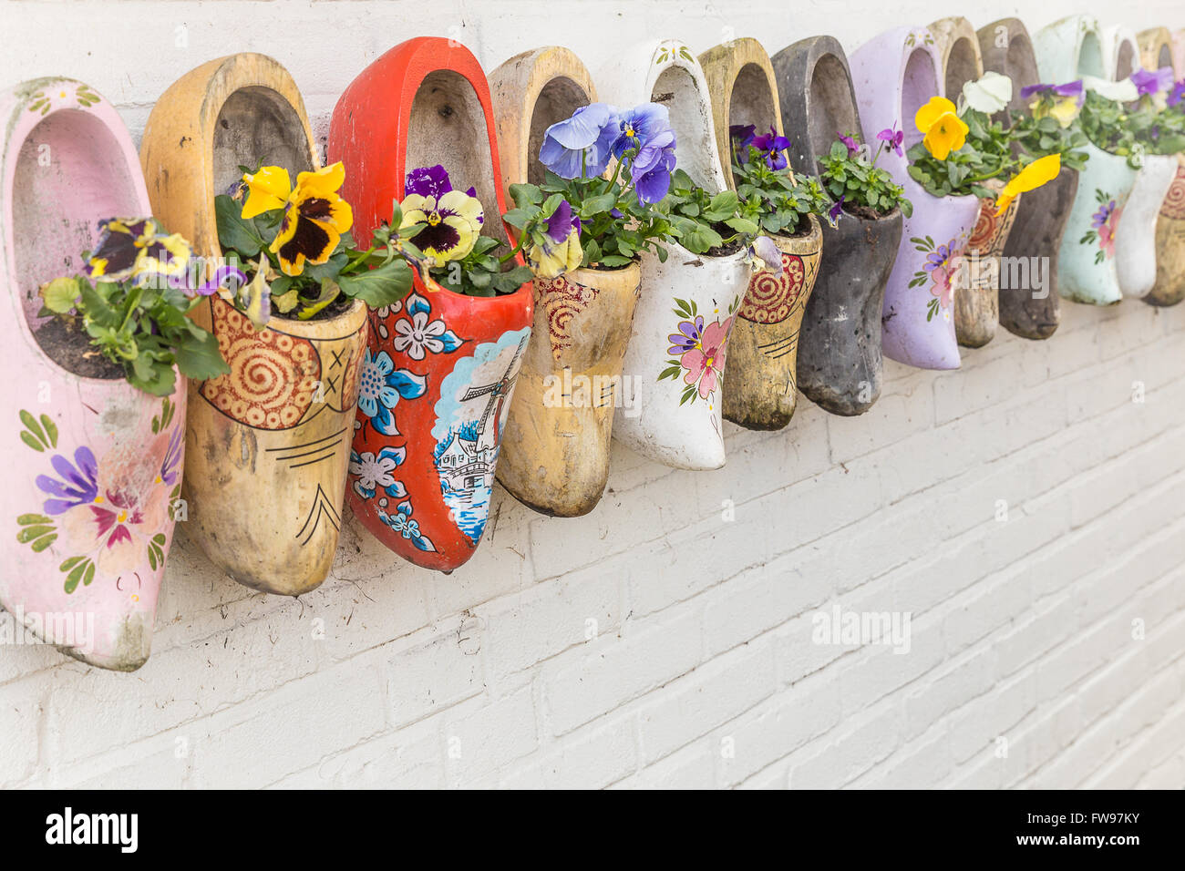 clogs and flowers in holland Stock Photo - Alamy