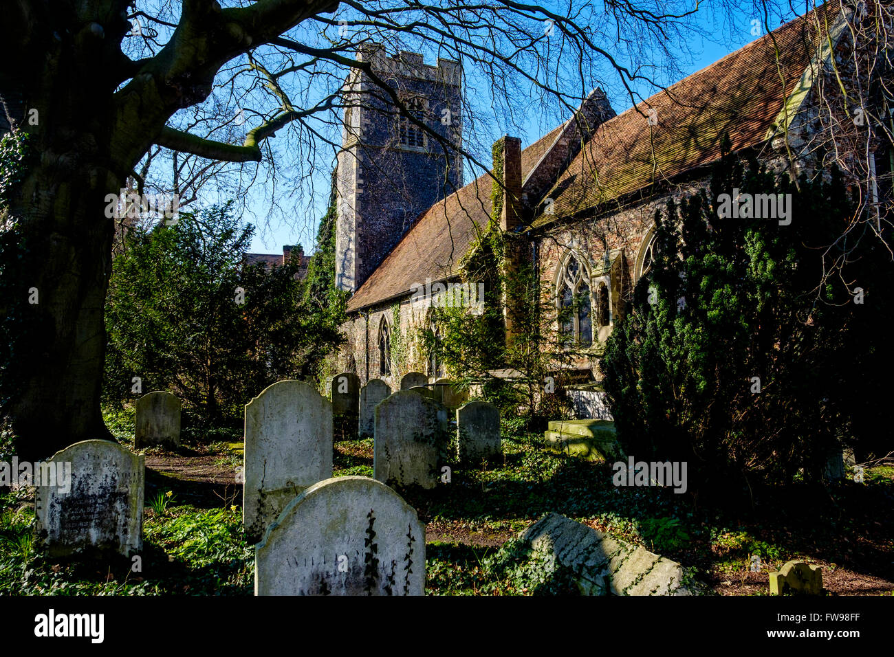 The former All Saints' Church in Colchester, Essex, England now the ...